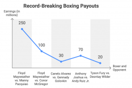 How Much Do Professional Boxers Earn - JKCP.com